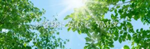 株式会社YMD｜
